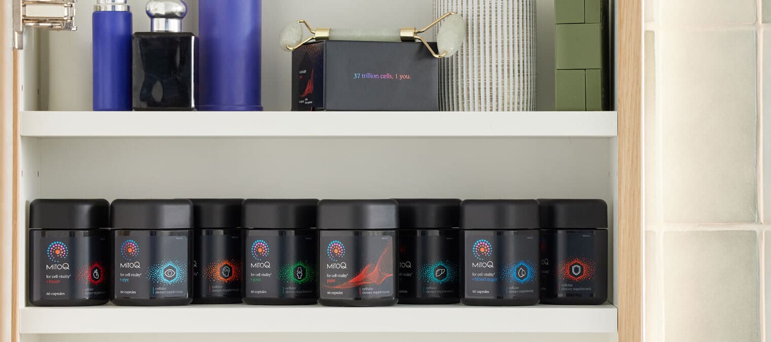 Questions answered: everything you want to know about MitoQ