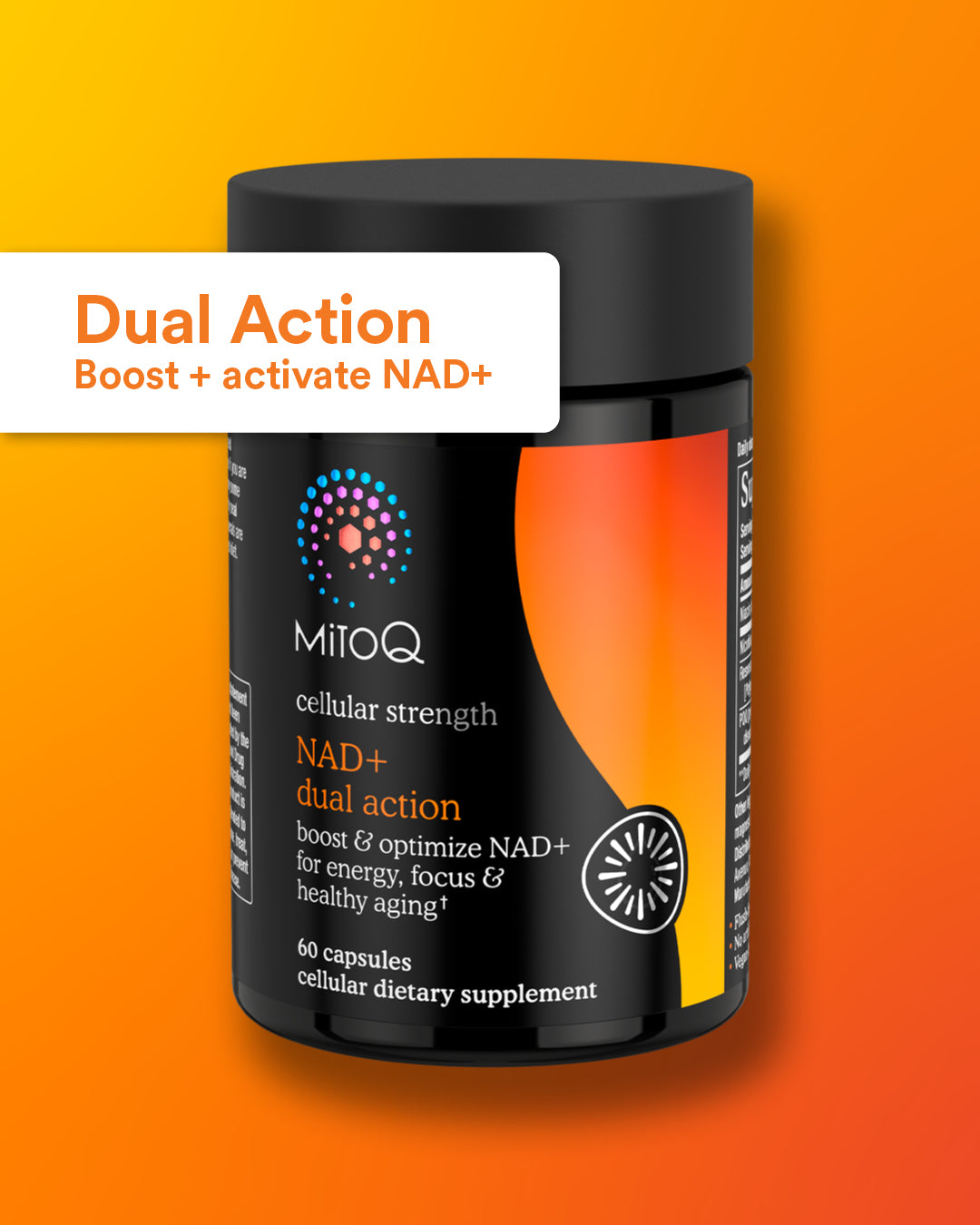 MitoQ NAD+ Dual Action for Energy, Focus & Healthy Aging – MitoQ Ltd